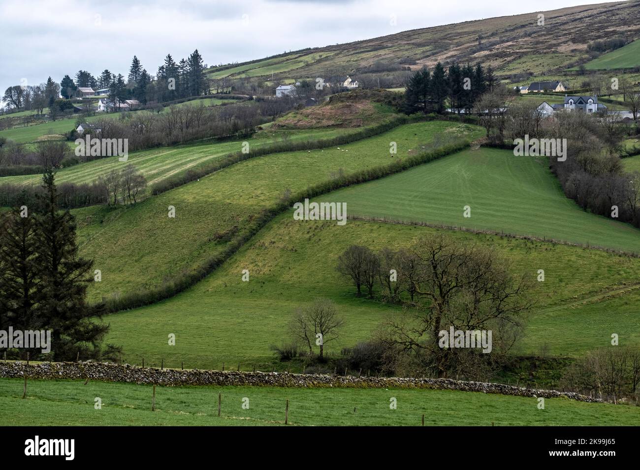 Green fields of ireland hi-res stock photography and images - Alamy