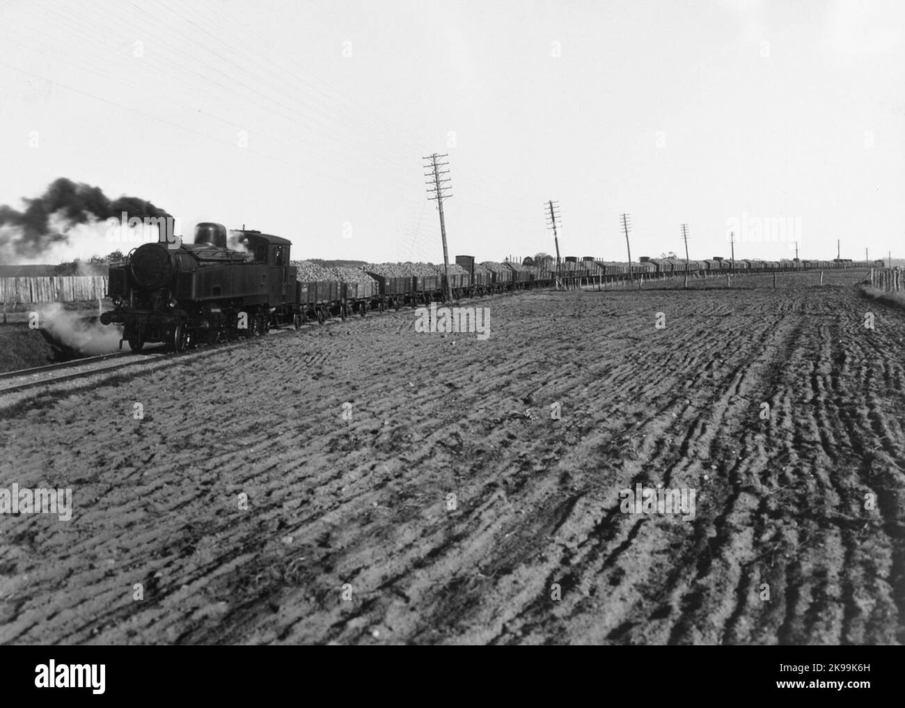 YEJ 2 with 60 wagons white beets to Köpingebro.yej, Ystad - Eslövs ...