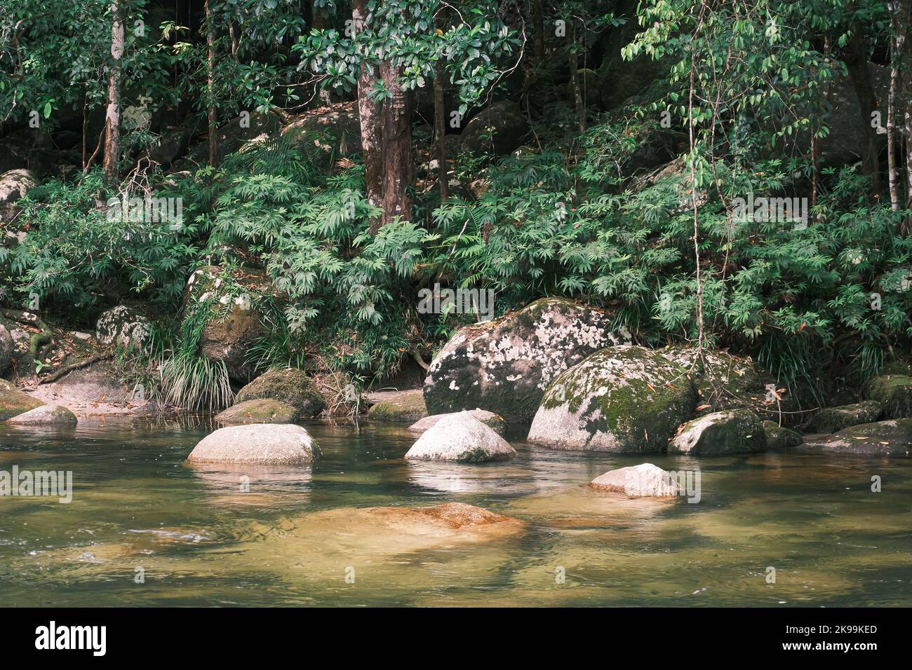 Beautiful water, rocks, and nature of Mossman gorge, Queensland ...