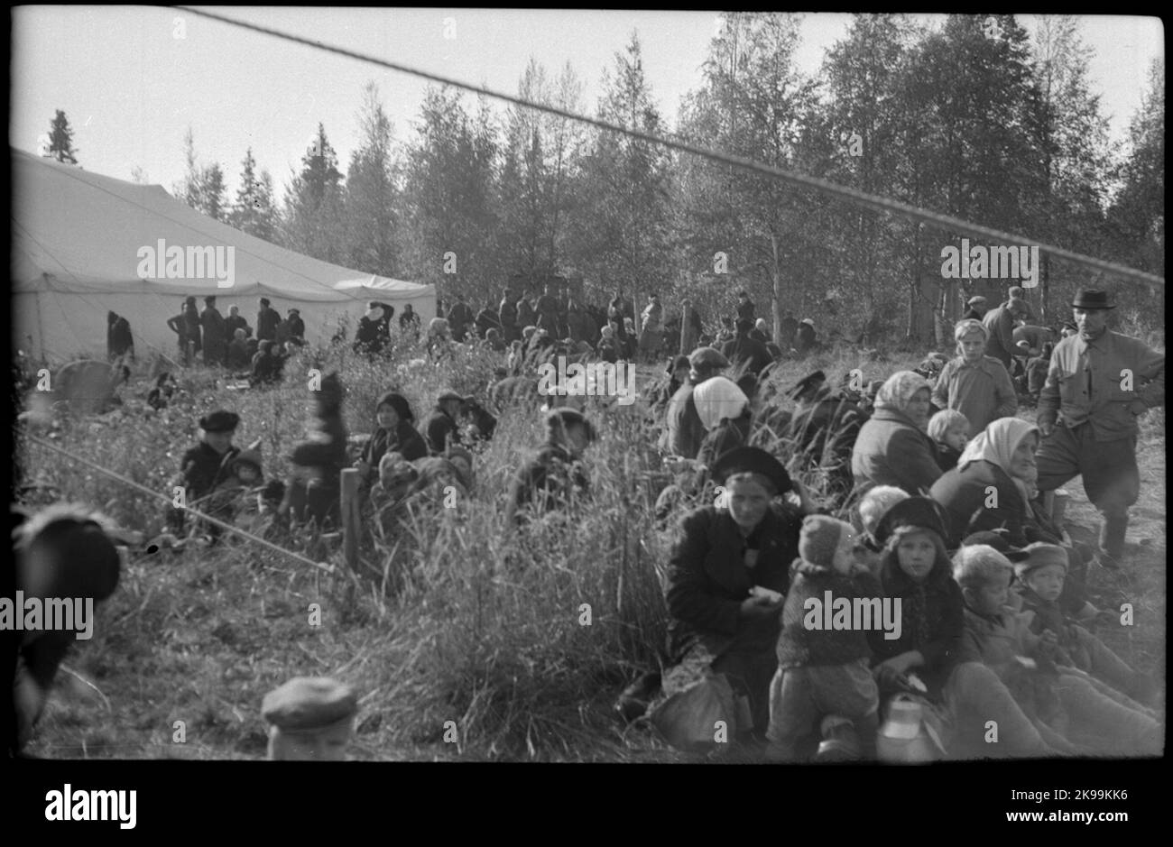 Evacuation of Finnish refugees, autumn 1944 Stock Photo - Alamy