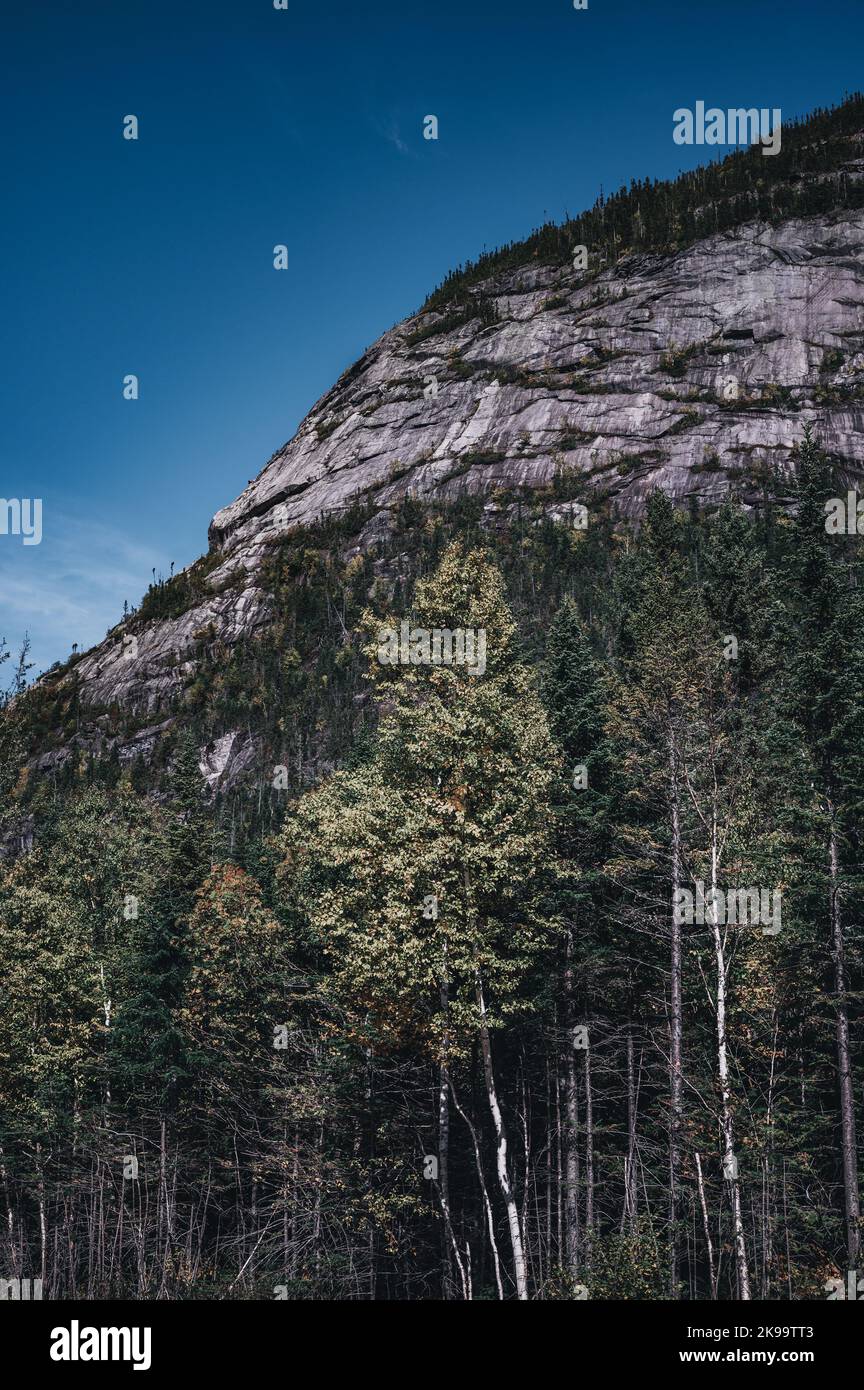 A moody landscape, rocky hill and pine trees in valley under blue sky ...