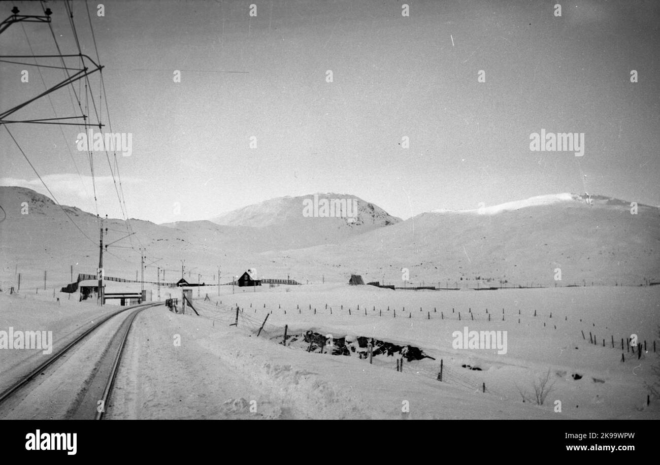 Line image. Winter image from the national border Stock Photo - Alamy