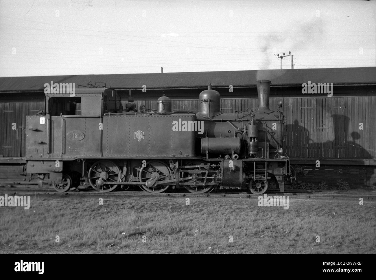 Pleasure locomotive 12 Stock Photo - Alamy