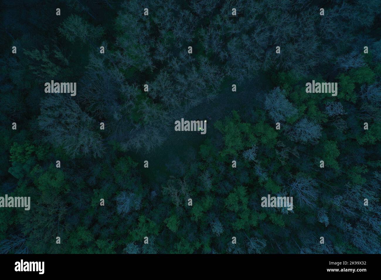 A bird's eye view of three tents in the forest at night Stock Photo - Alamy