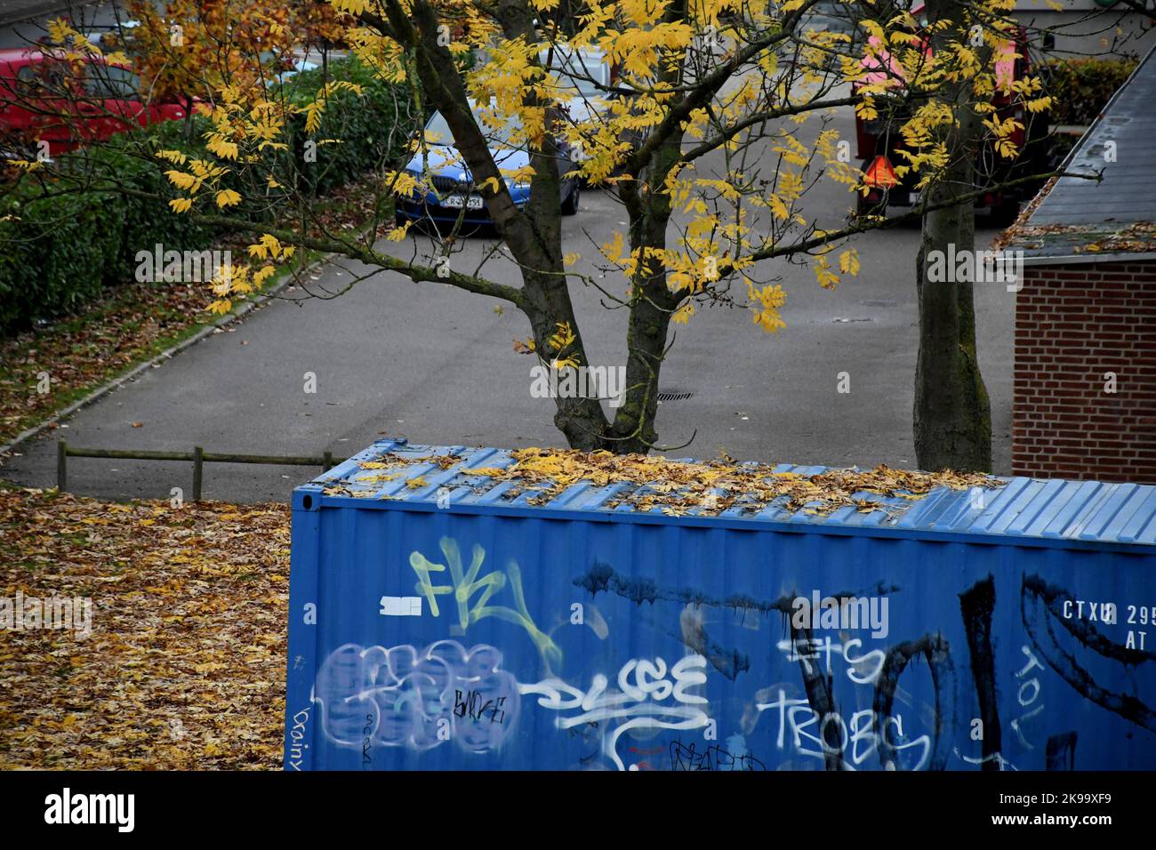 Copenhagen/Denmark/26 October 2022/Autumn or fall colour of tree and ...