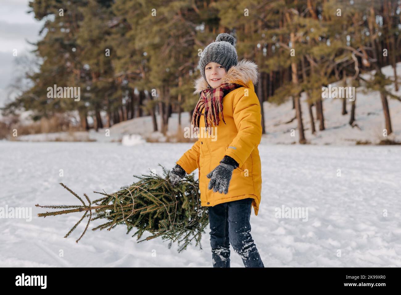 Happy kid holding in hands cut christmas tree on the background of ...