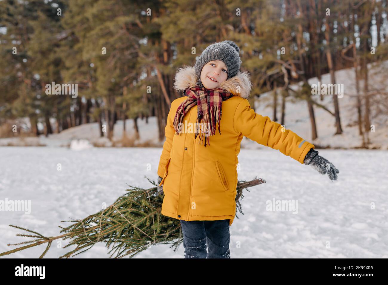Happy kid holding in hands cut christmas tree on the background of ...
