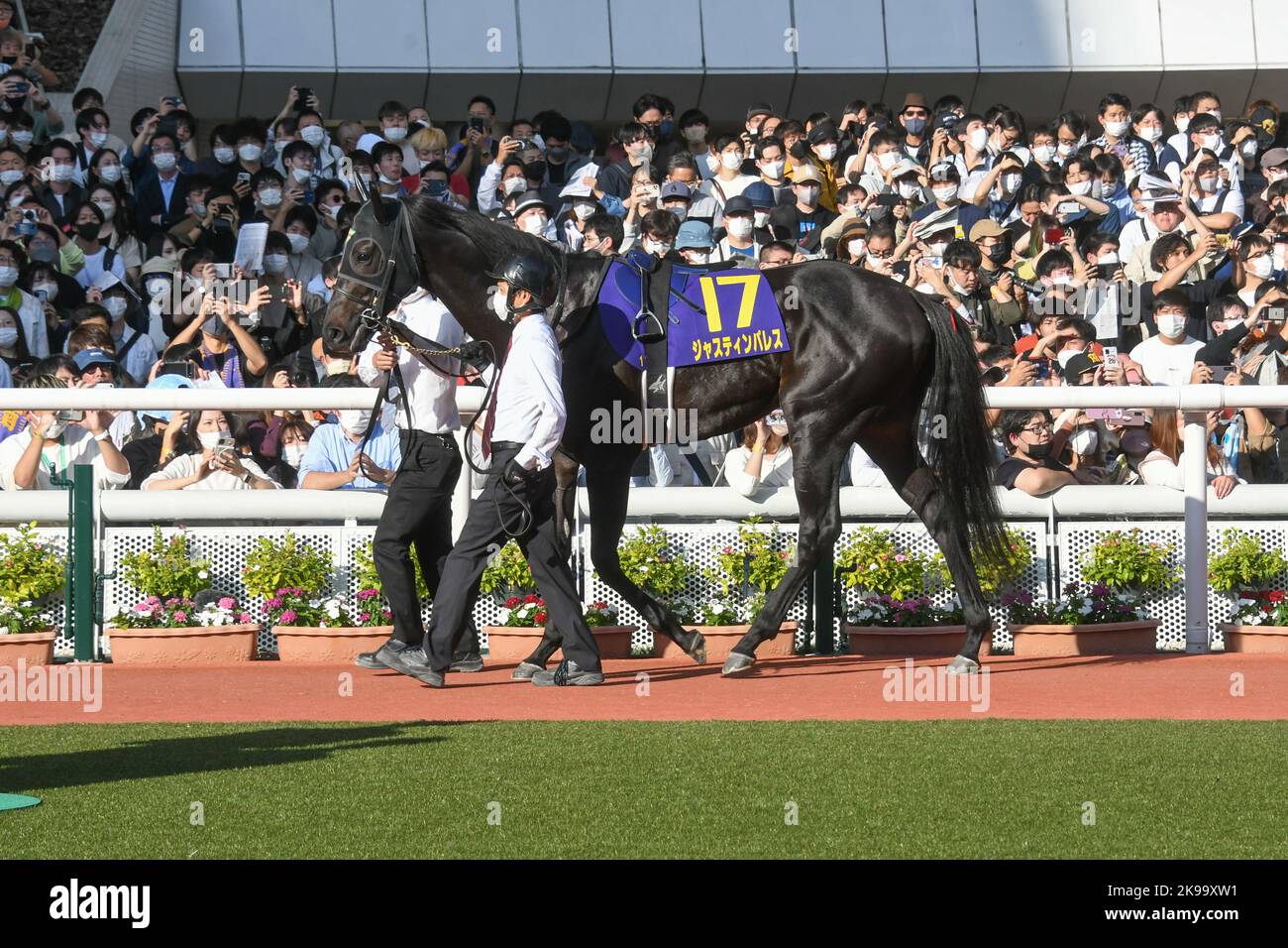 Hyogo, Japan. 23rd Oct, 2022. Justin Palace is led through the paddock ...