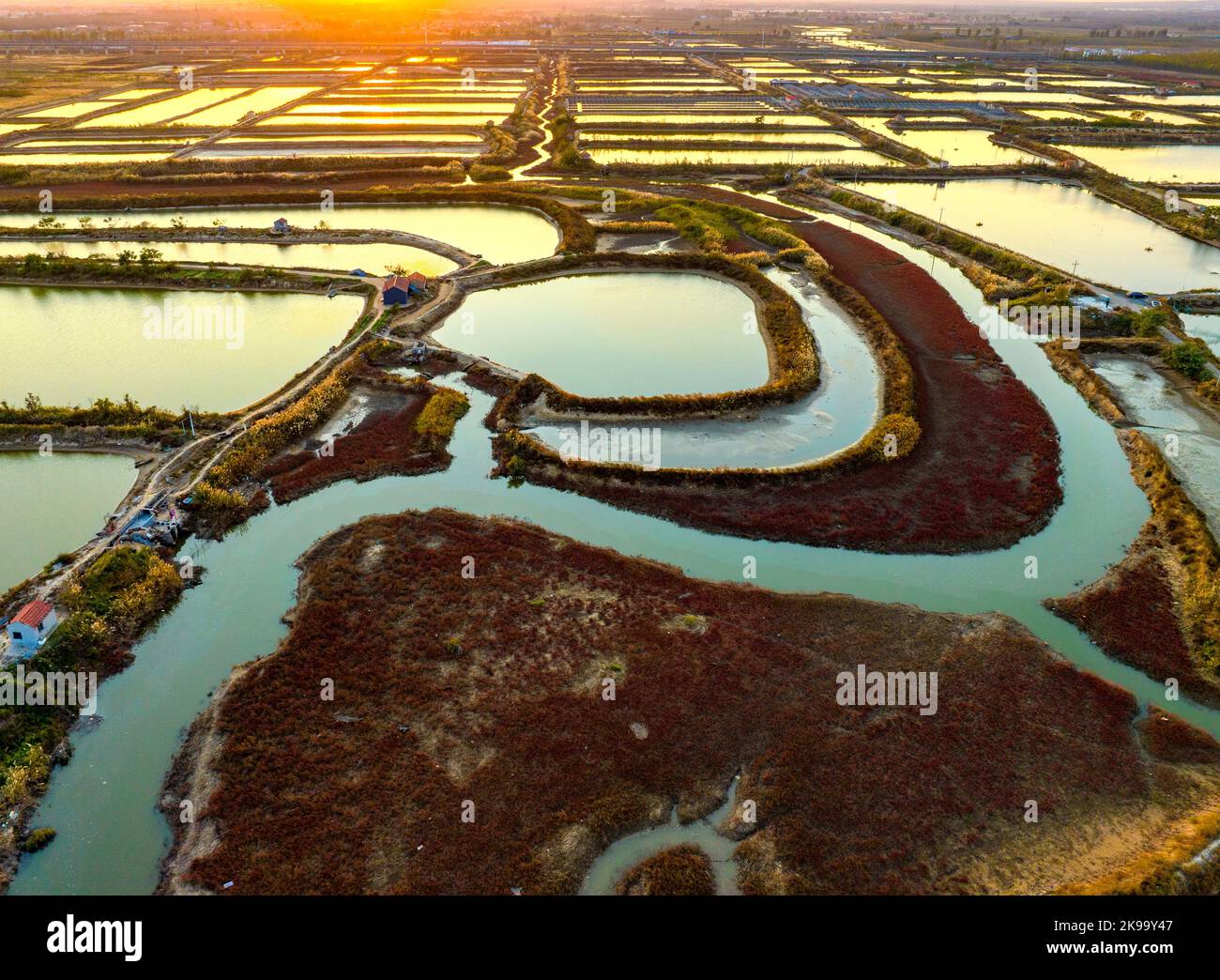 Aerial photos show the colorful views of shrimp and crab breeding pond ...