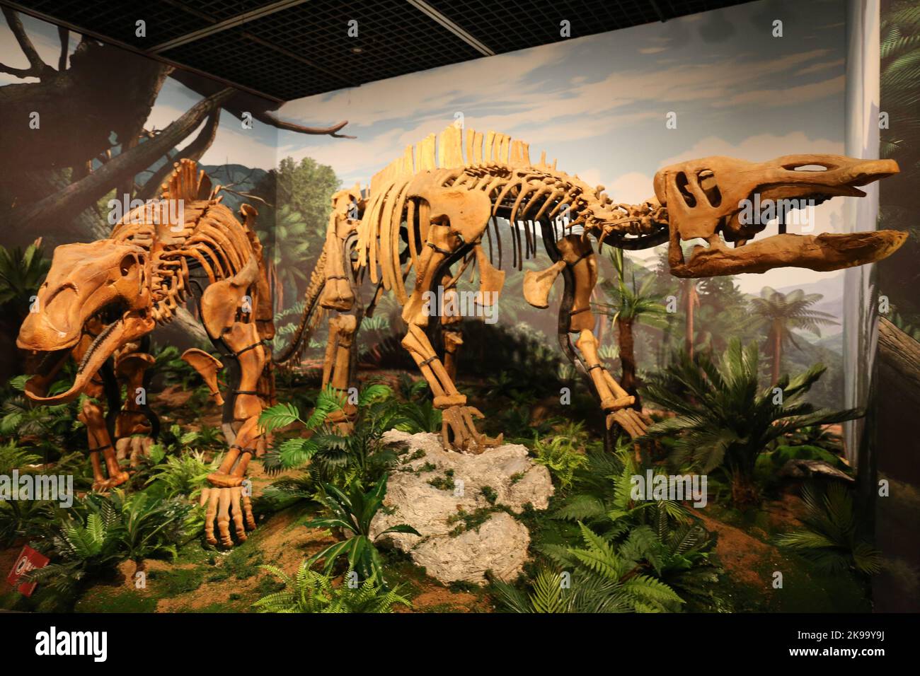 A visual feast of ancient life to the whole society "Le. Tu - Liaoning ...