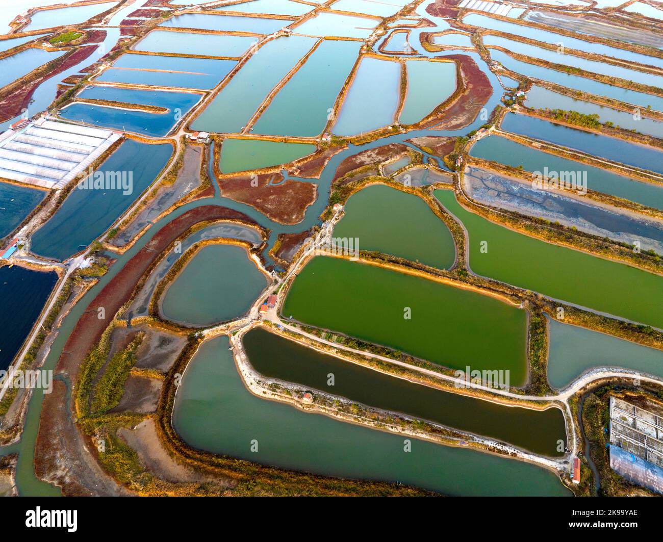 Aerial photos show the colorful views of shrimp and crab breeding pond ...