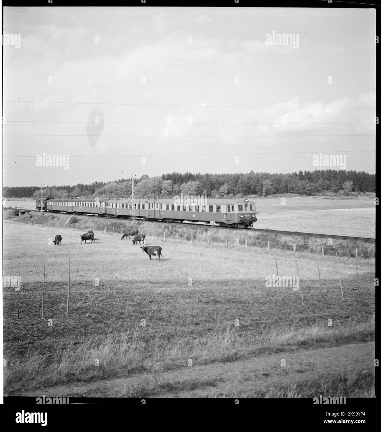 Rail bus train on the line Stock Photo - Alamy