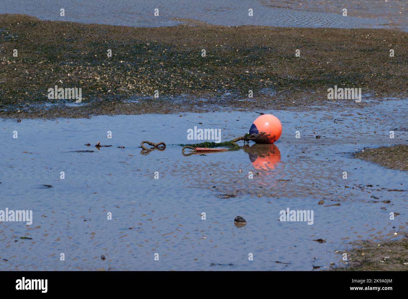 An anchoring point with an orange buoy attached lies on wet sand at low ...