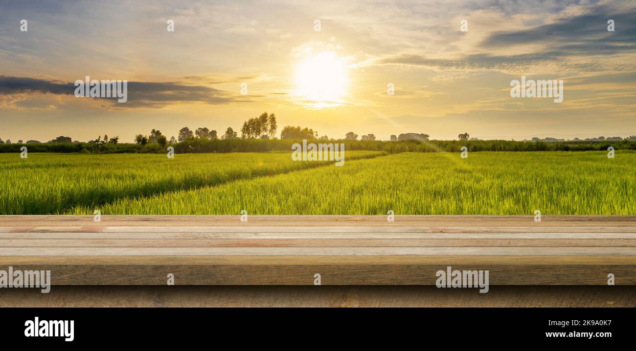 Wood table and rice field and sunrise blue sky with lens flare, display ...