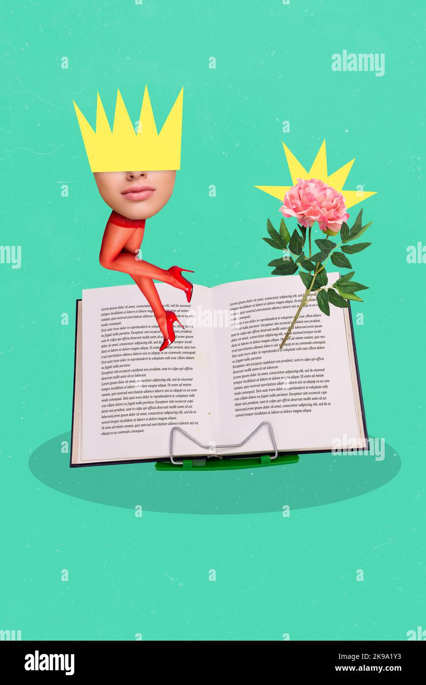 Collage 3d image of pinup pop retro sketch of half lady face open book ...