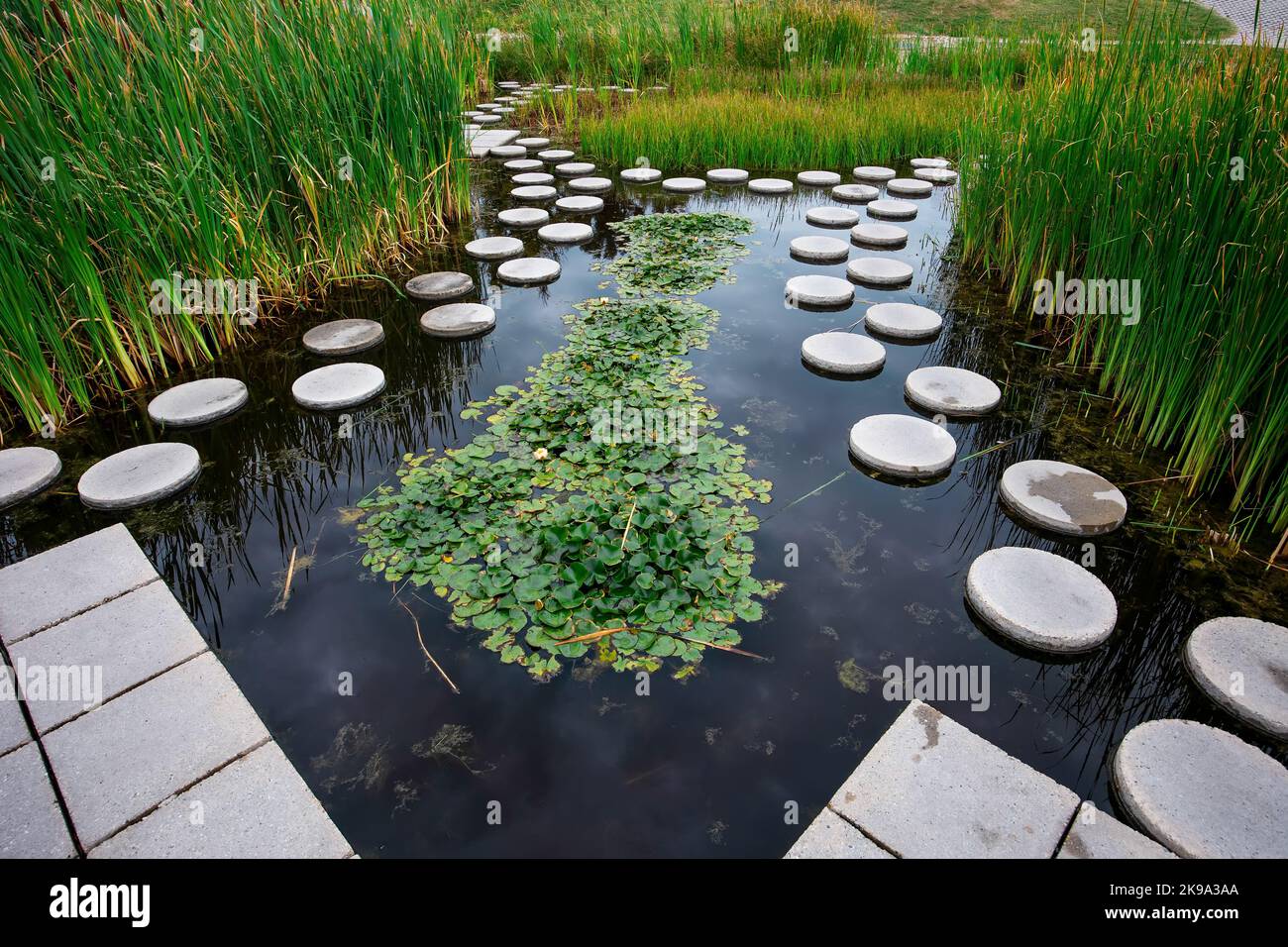 Zen like stone path in water Stock Photo - Alamy