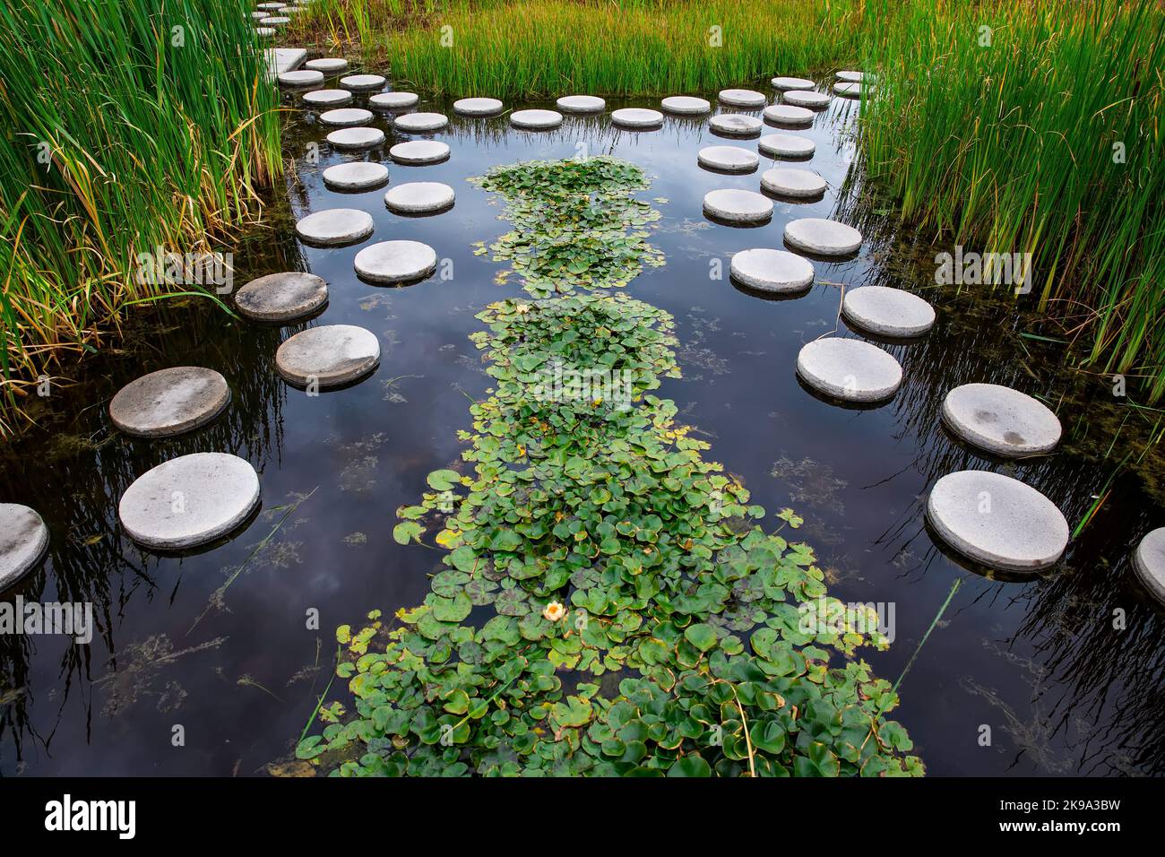 Zen like stone path in water Stock Photo - Alamy