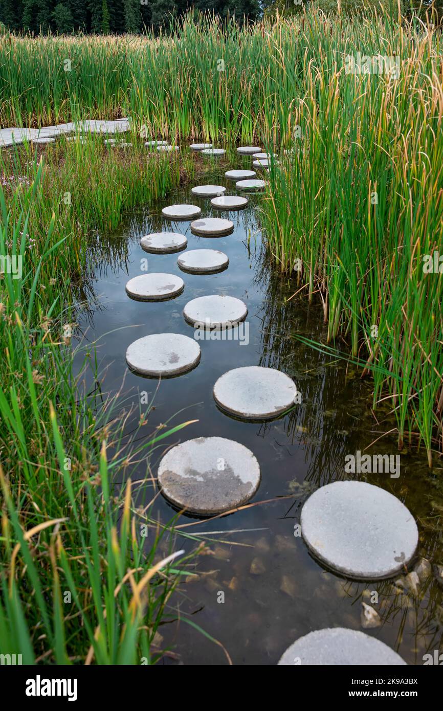 Zen like stone path in water Stock Photo - Alamy