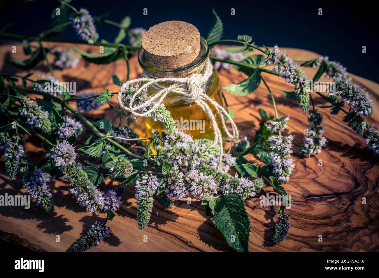 flowering mint plant from the home garden Stock Photo - Alamy
