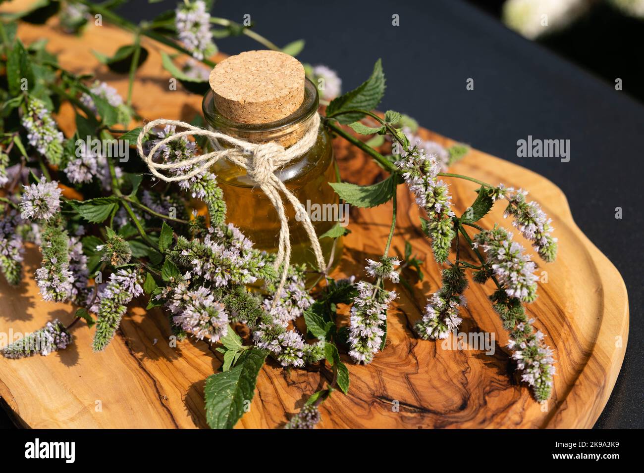 flowering mint plant from the home garden Stock Photo - Alamy