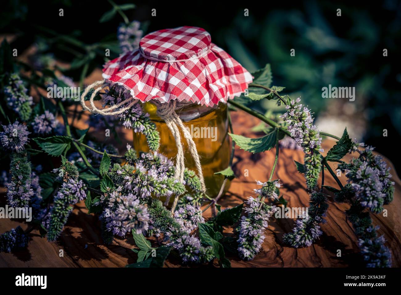 flowering mint plant from the home garden Stock Photo - Alamy