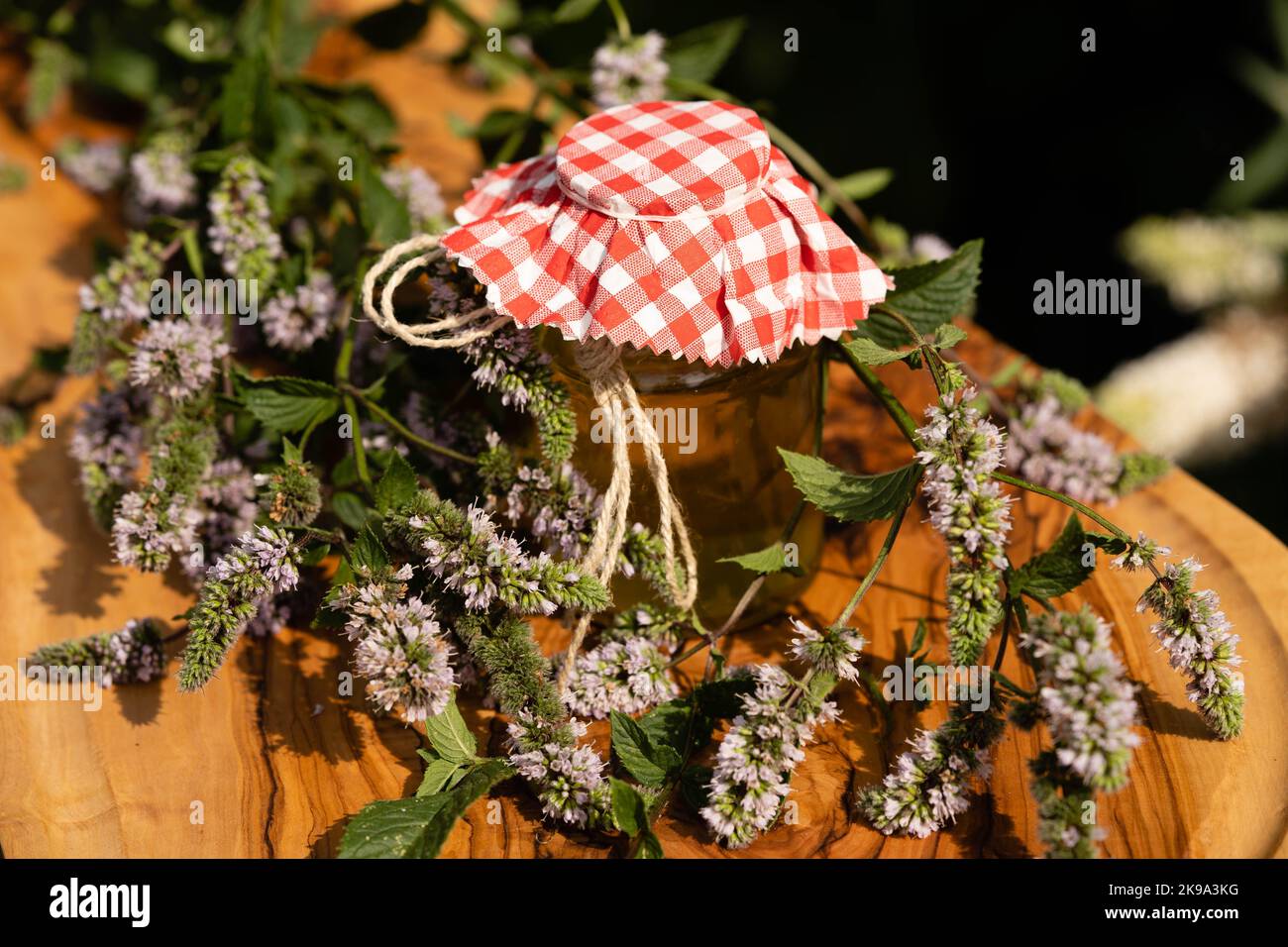 flowering mint plant from the home garden Stock Photo - Alamy