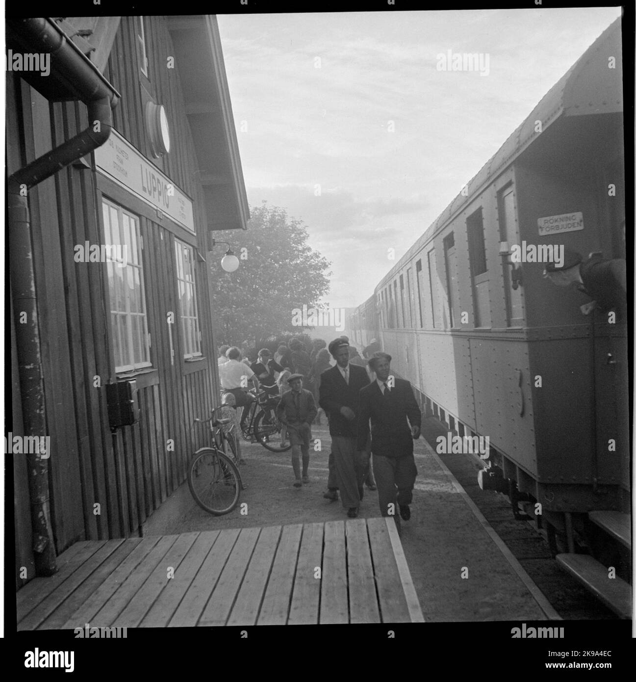A personal train at the station in Luppio Stock Photo - Alamy