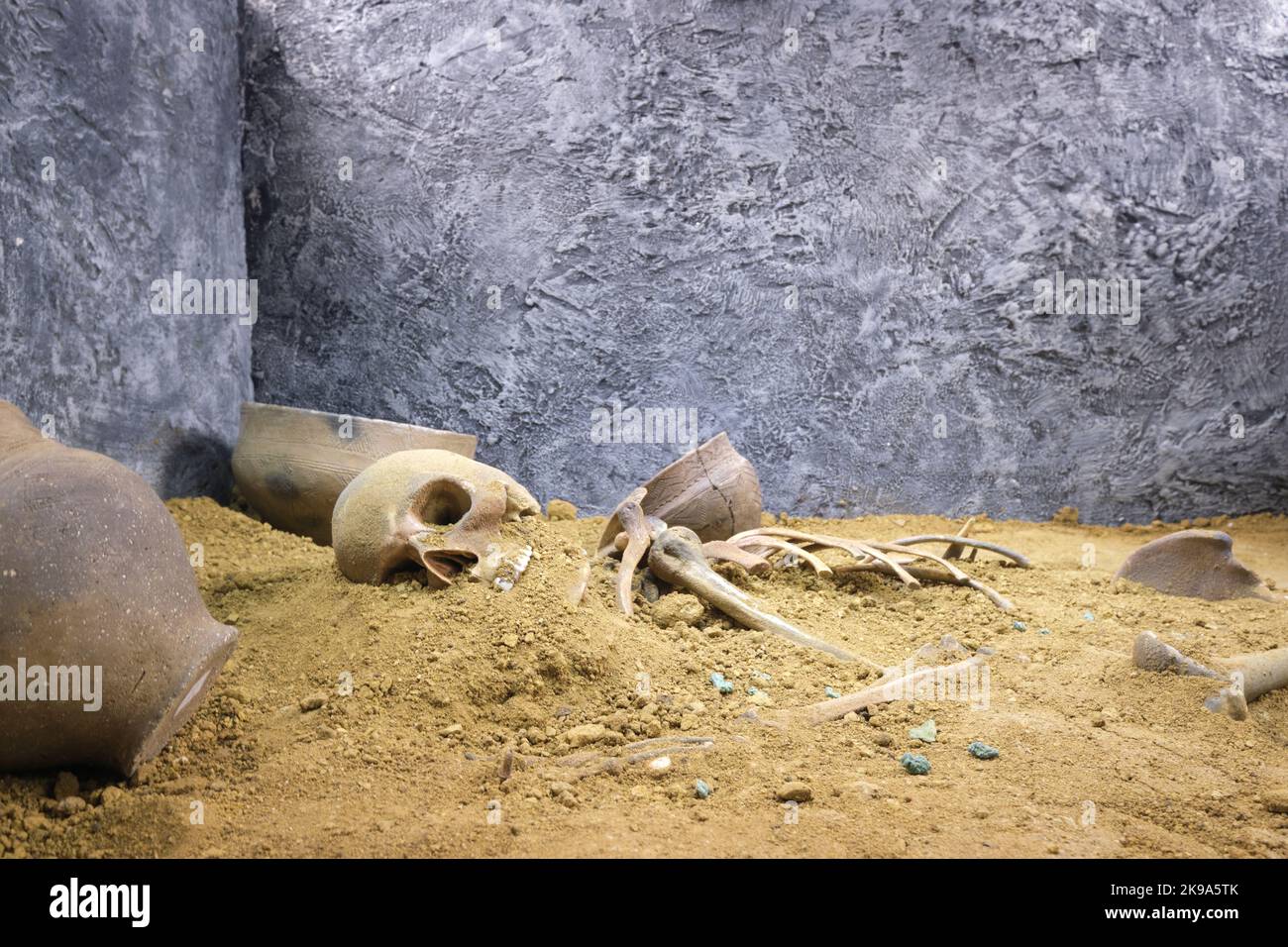 A recreation, diorama of an uncovered ancient grave, with skeleton ...