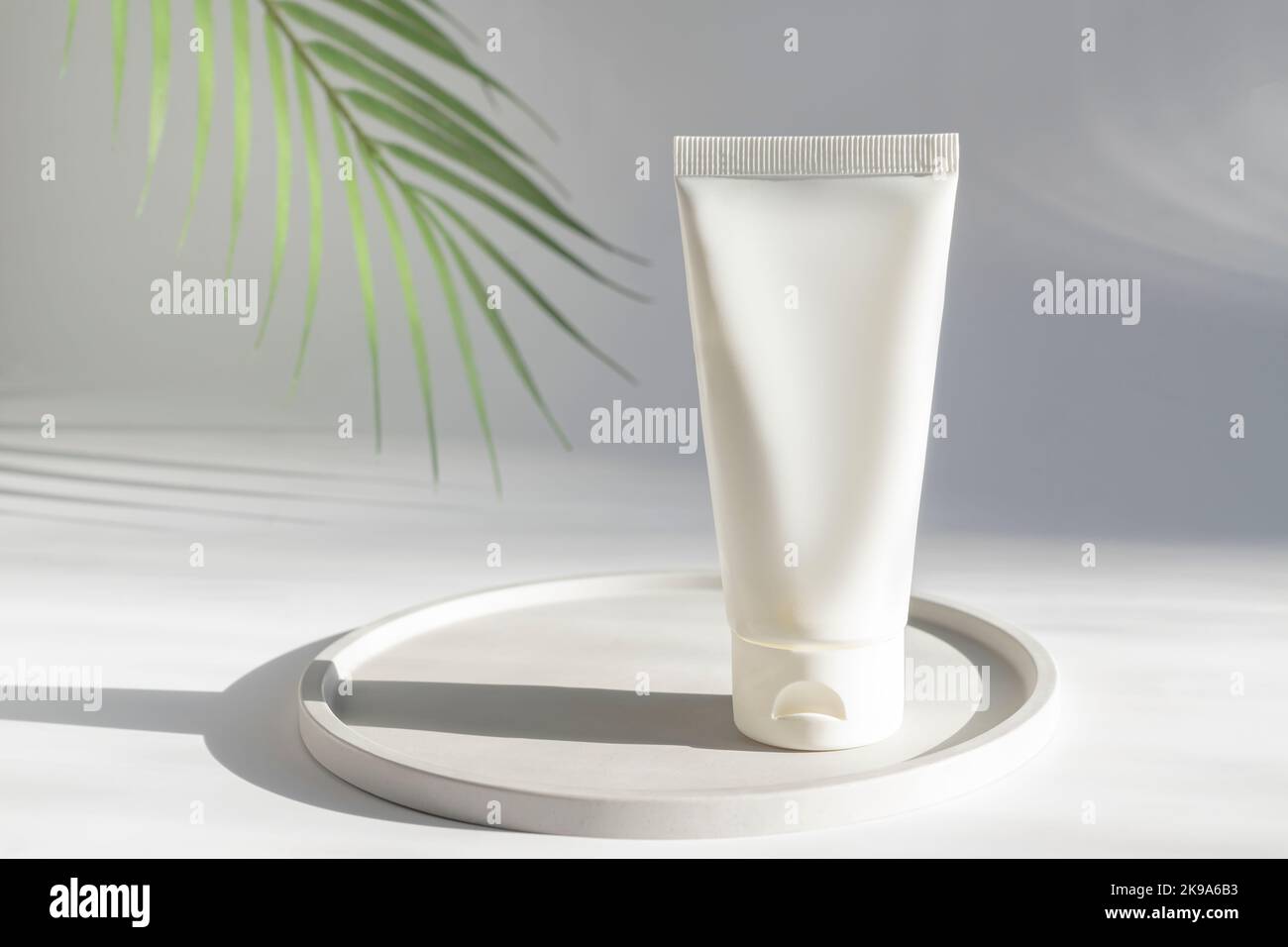 Cosmetic cream tube stands on a ceramic tray under green palm leaf ...