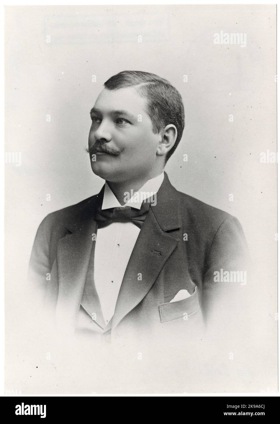 Herman Sven Ludvig Rydin, notary for the Second Chamber in Parliament ...