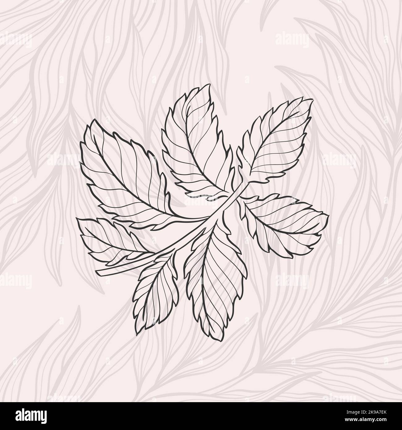 Plant leaf line hand drawn style. One object vintage design. Elegant ...
