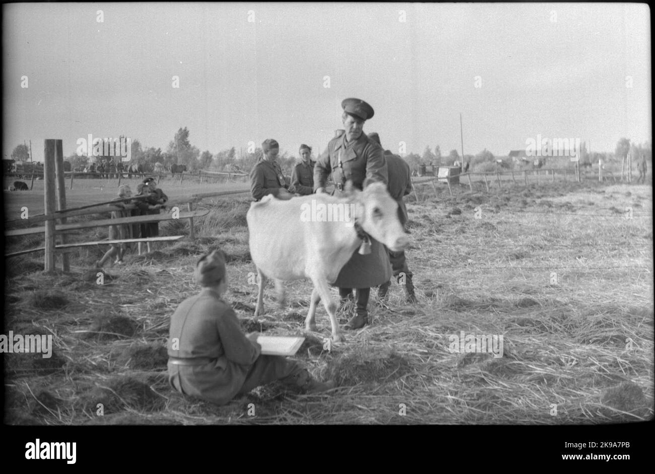 Evacuation of Finnish refugees, autumn 1944 Stock Photo - Alamy