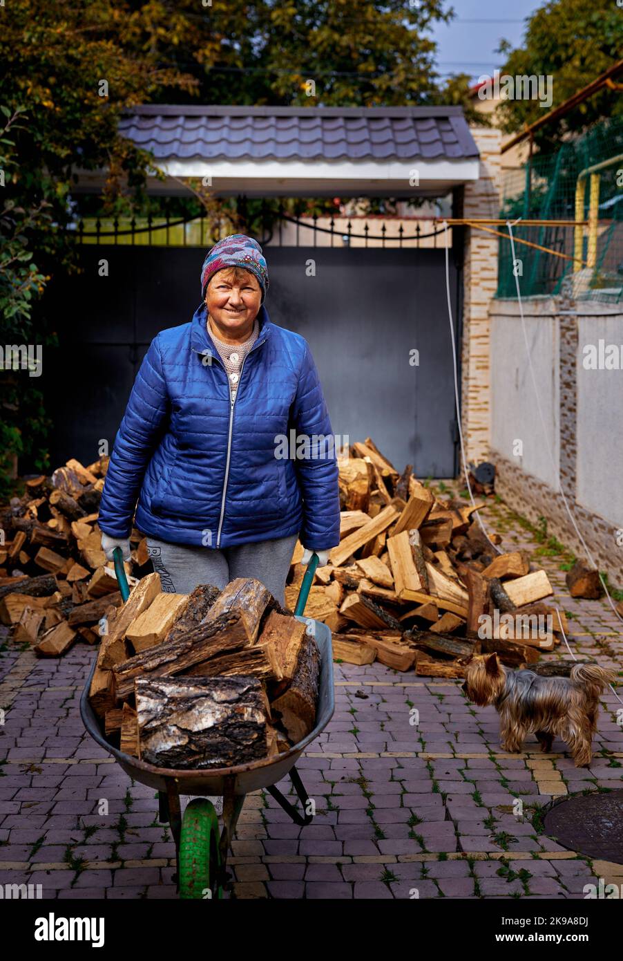 Old woman carrying wood on hi-res stock photography and images - Alamy