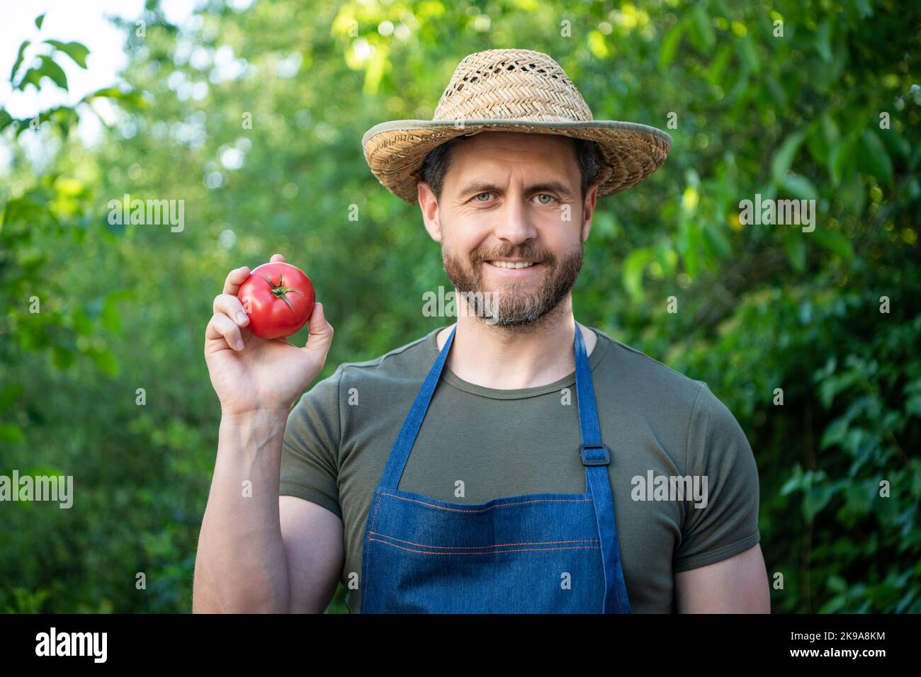 happy man greengrocer in straw hat with tomato vegetable Stock Photo ...