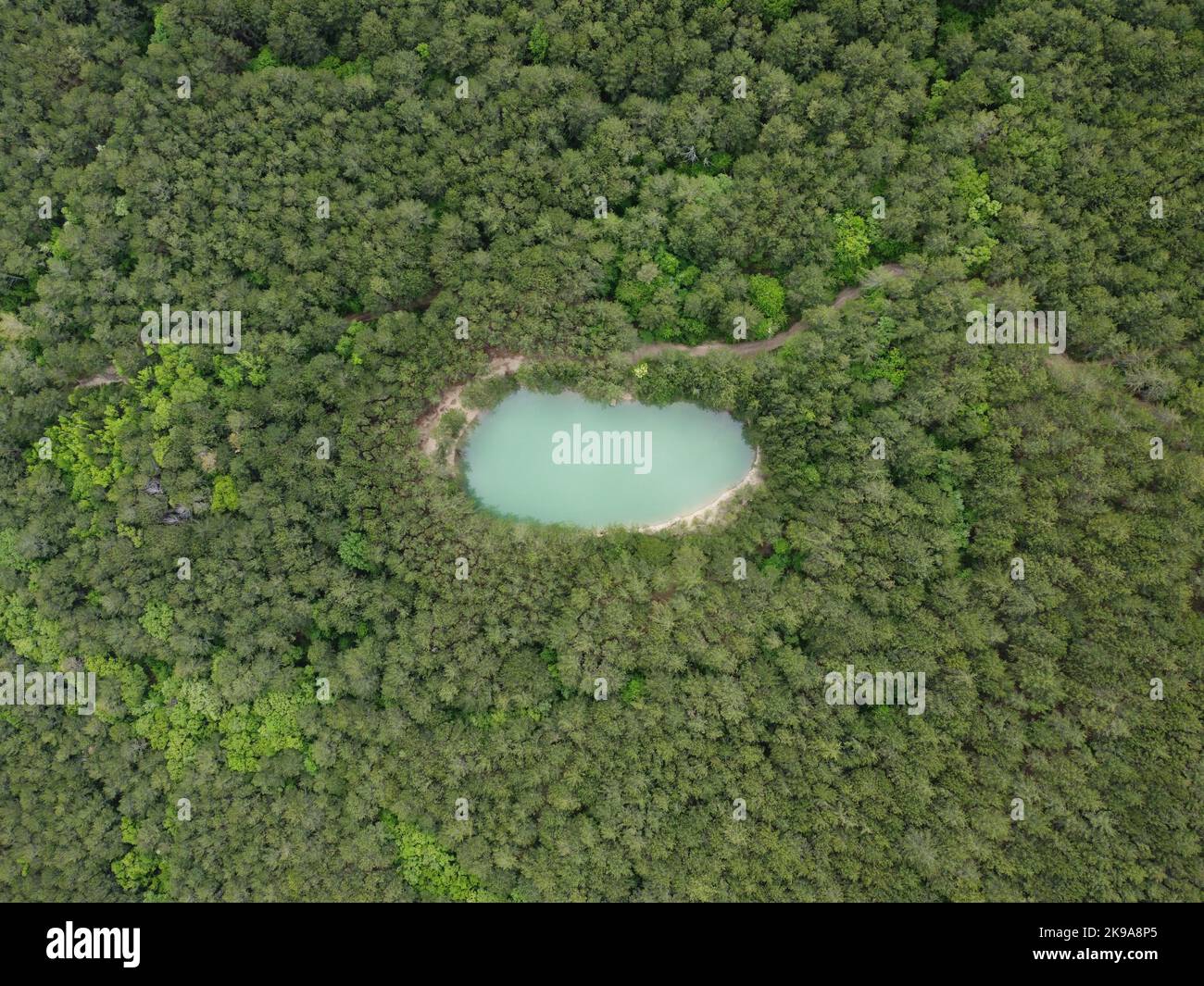 Aerial lake in forest. Top down view aerial flight over small lake of ...