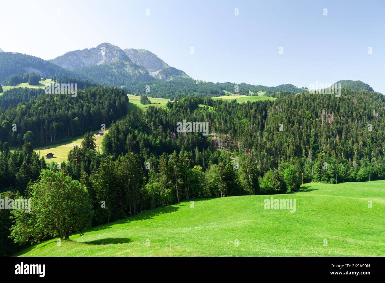 Panoramic view of green alpine meadows and the Alps mountains in ...