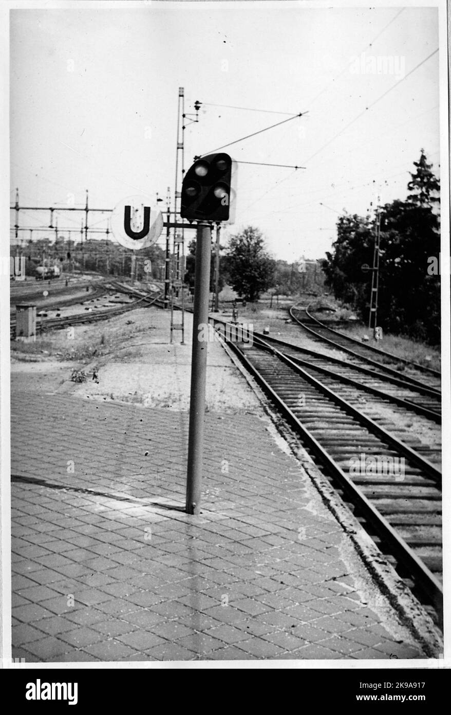 Discharge brand and dwarf signal Stock Photo - Alamy