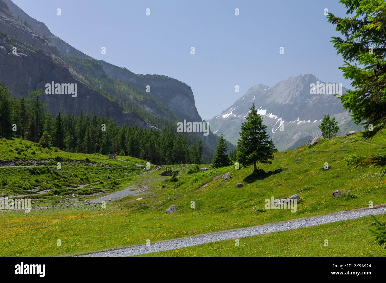 Panoramic view of green alpine meadows and the Alps mountains in ...