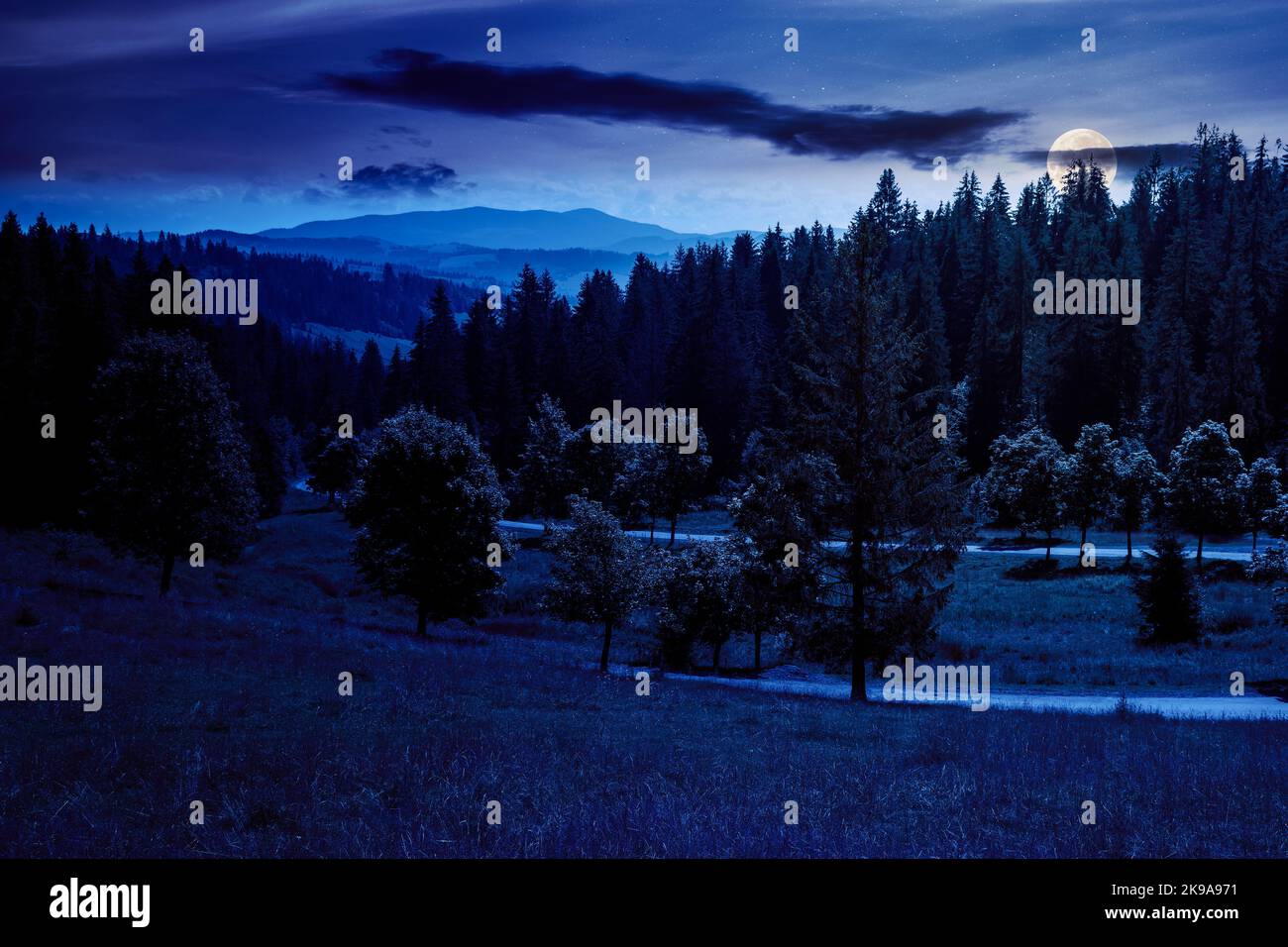 trees on the hill by the road at night. countryside scenery with grassy ...