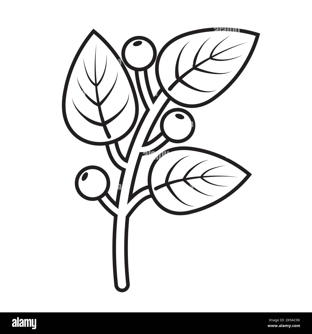 Autumn plants doodle elements. Contour elements of the plant in autumn ...