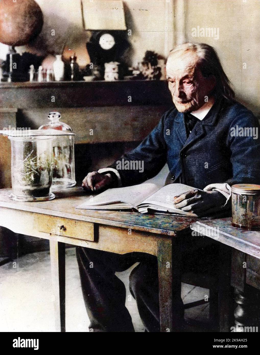 Portrait de Jean Henri Fabre (1823-1915), ecrivain et entomologiste ...