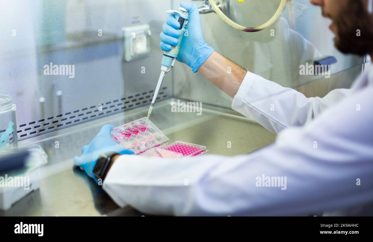 cell culture, medicine, medical and biology laboratory Stock Photo - Alamy