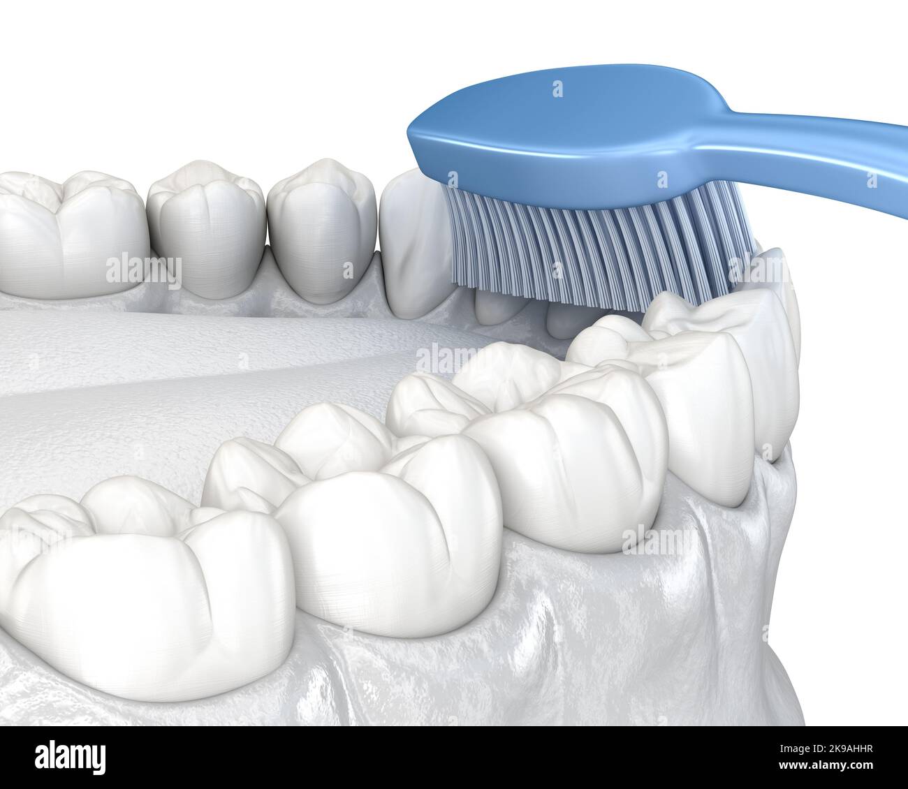 Toothbrush cleaning teeth, Isolated on white. Medically accurate 3D ...