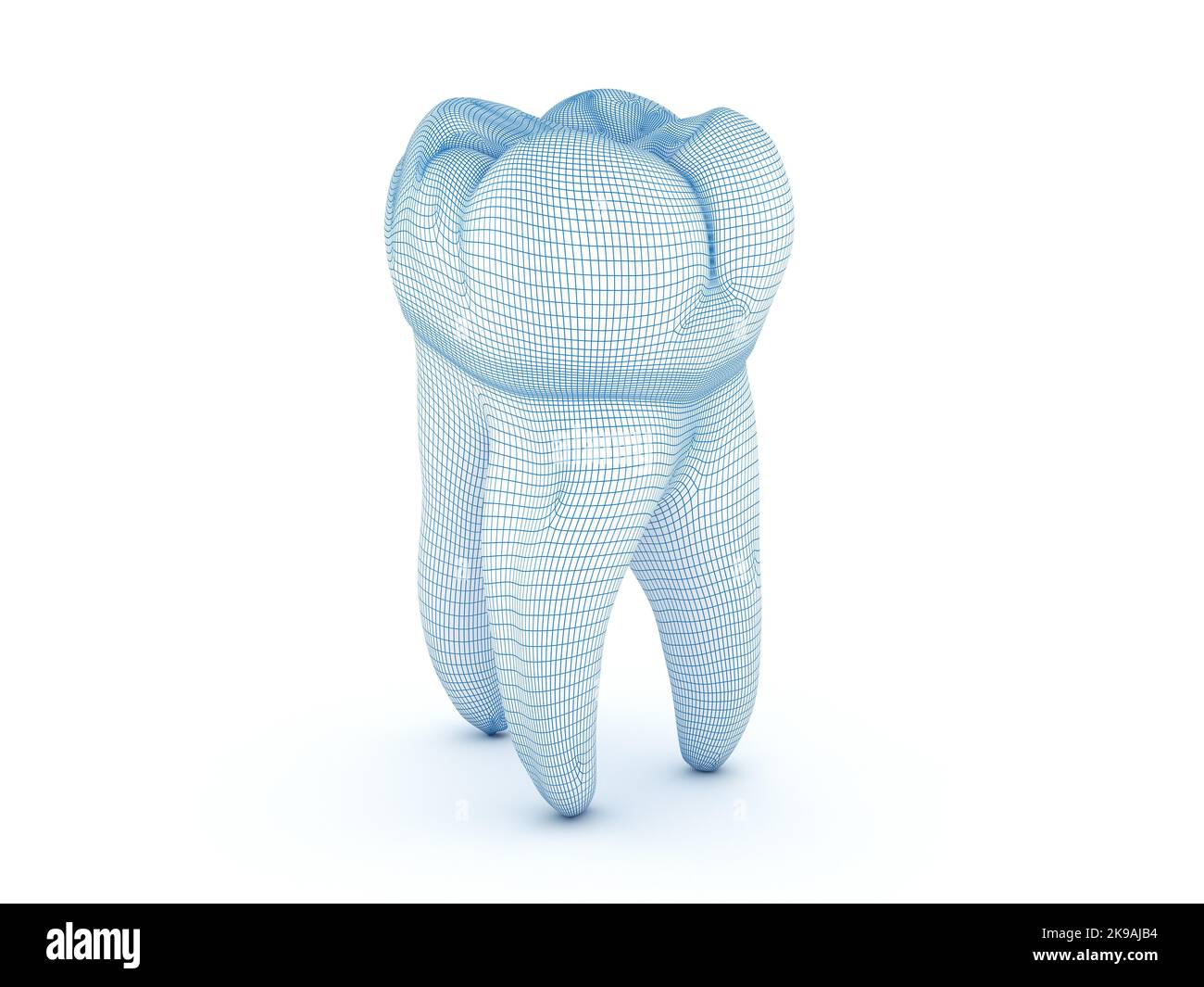 Maxillary first molar hi-res stock photography and images - Alamy