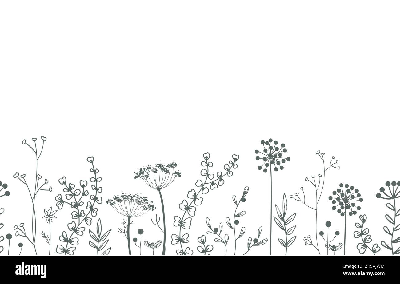 Seamless flower border hi-res stock photography and images - Alamy