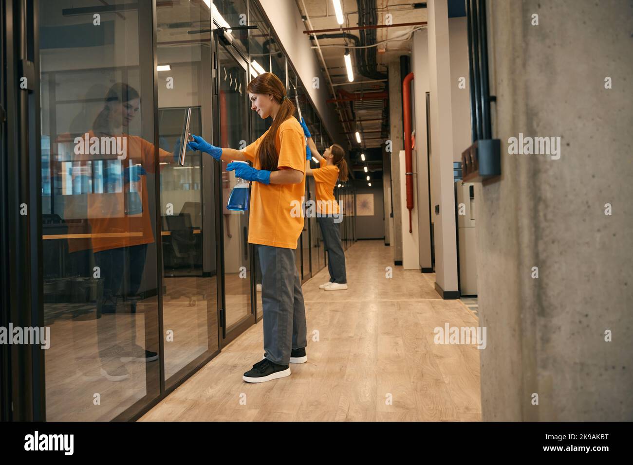 Two employees cleaning company clean the mirrored partitions coworking ...
