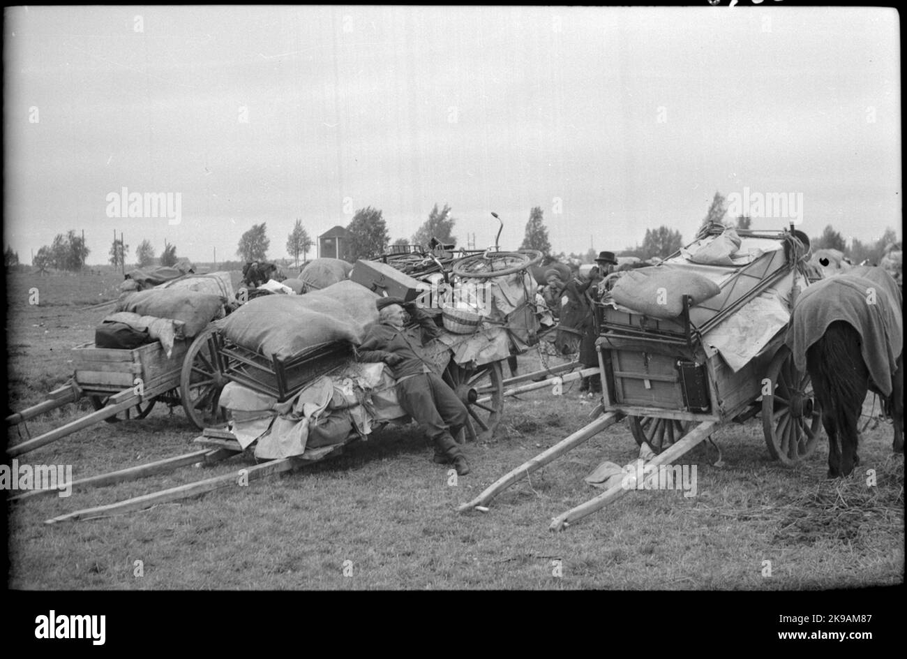 Evacuation of Finnish refugees, autumn 1944 Stock Photo - Alamy