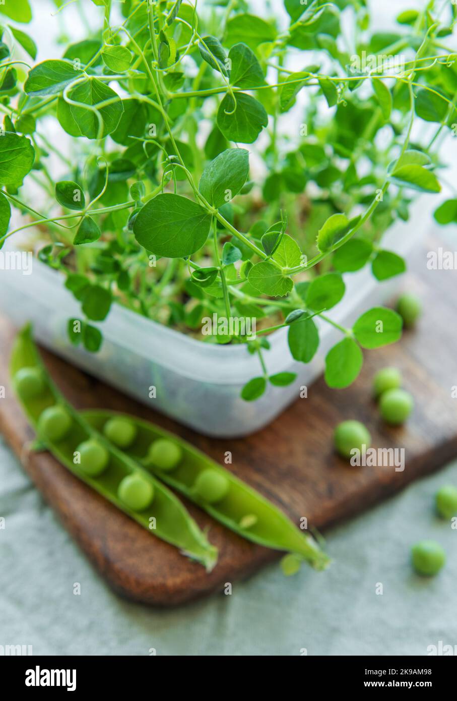 Young fresh juicy pods of green peas. Healthy organic food Stock Photo ...