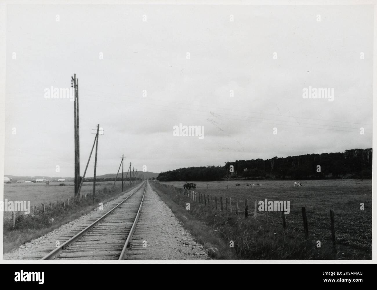 The line between Varberg and Tofta Stock Photo - Alamy