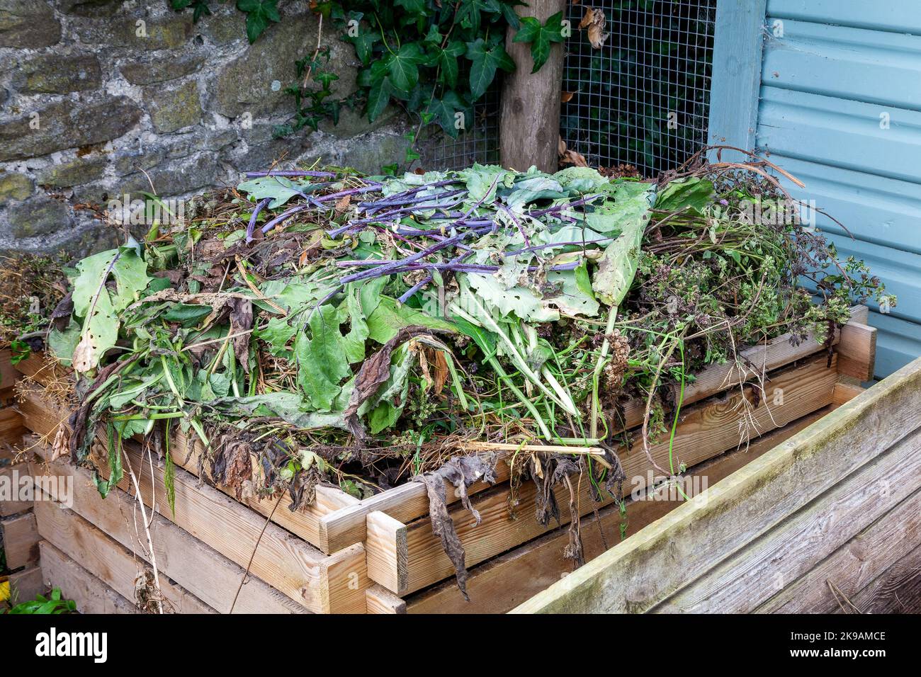 Rotting heap of vegetation garden waste to be recycled in the spring as ...